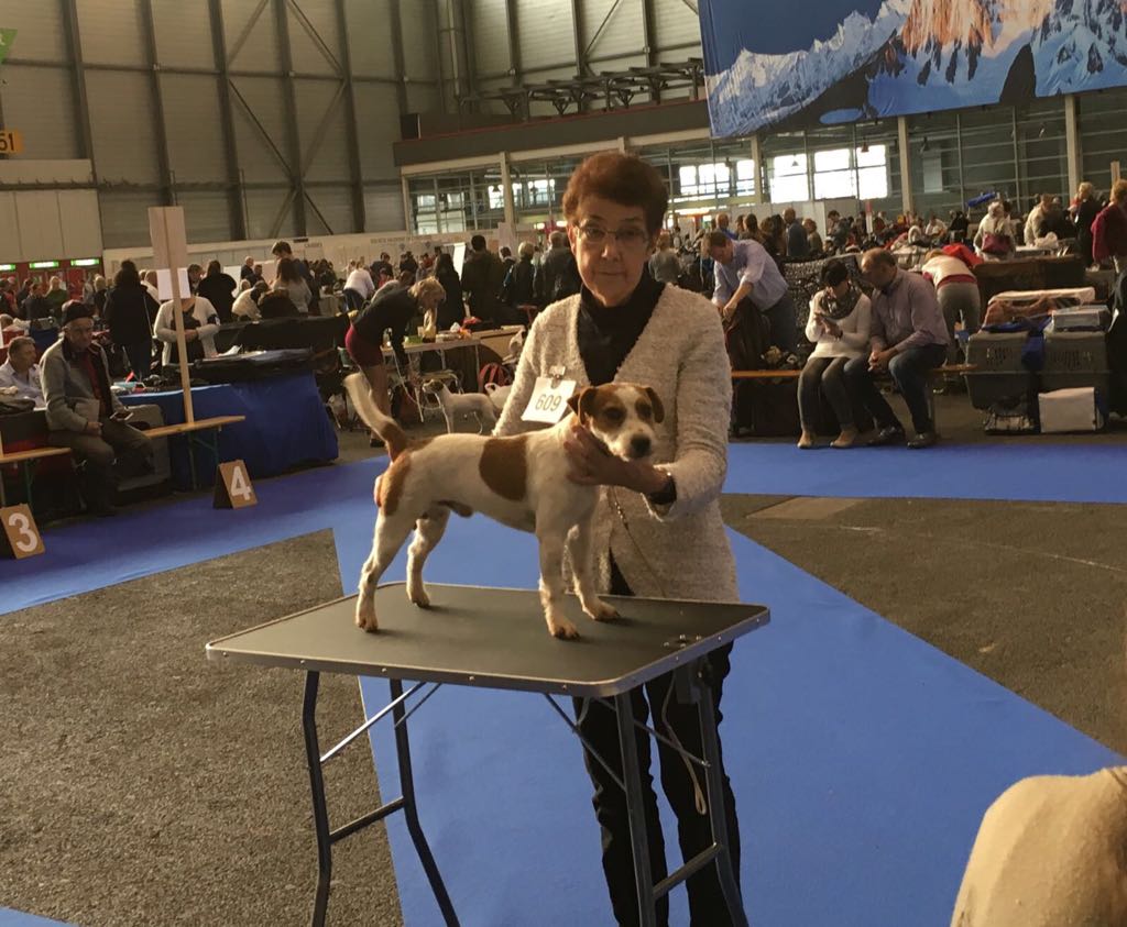 R-Komet vom Lothar Sturm | Tierheim + Tier Ferienhof Waldeck